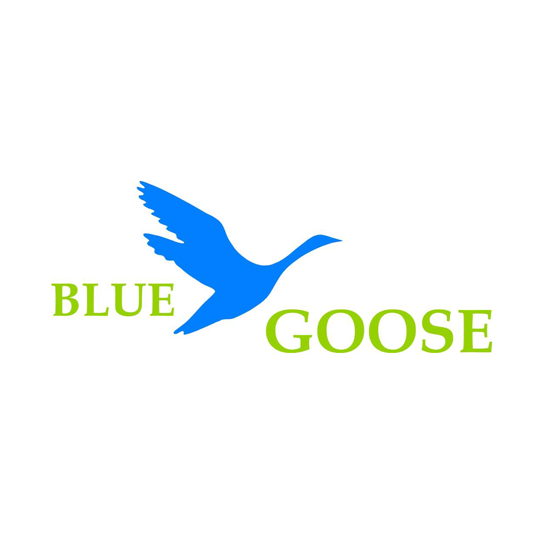 The Blue Goose - Quizzo Detroit
